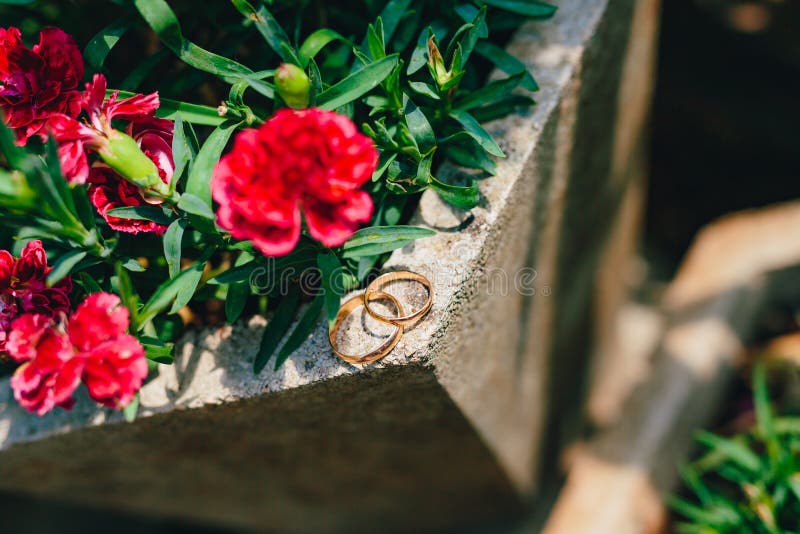 Wedding Rings on a Bed of Flowers Stock Photo - Image of happy, fashion ...