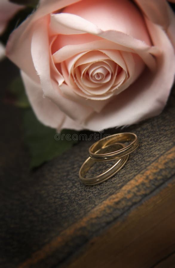 Wedding Rings On Bible Picture. Image: 18582072