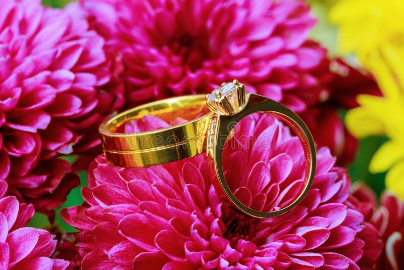 Wedding Rings on the Bouquet on Pink Flowers Stock Image - Image of ...