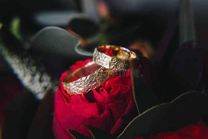 Wedding Rings on the Bouquet of Red Color. Stock Image - Image of bunch ...
