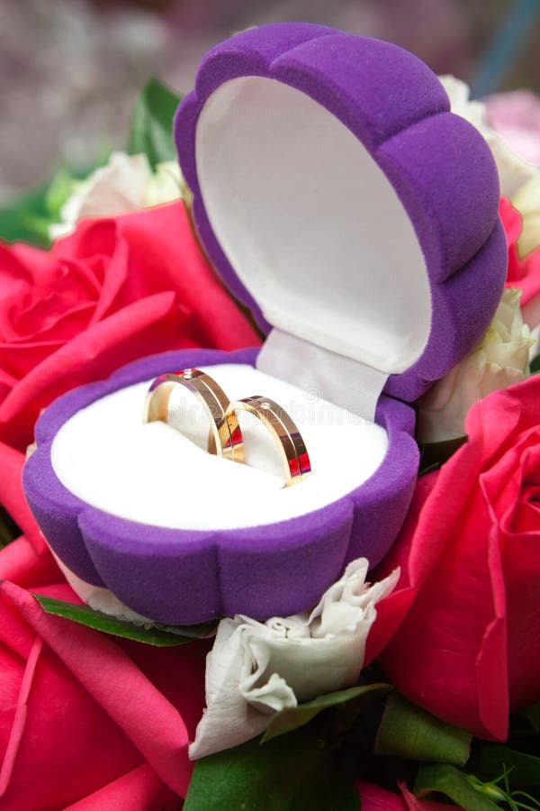 Wedding rings in a box stock image. Image of celebration - 19463089