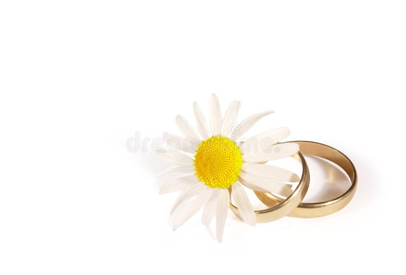 Wedding rings and daisy stock image. Image of relationship - 14950853
