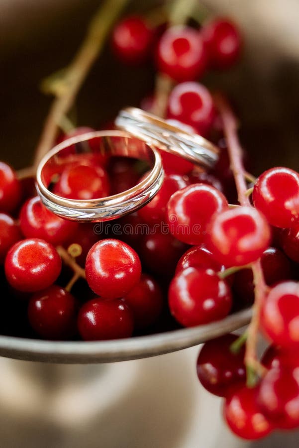 Wedding Rings with a Wedding Decor Stock Image - Image of groom, metal ...