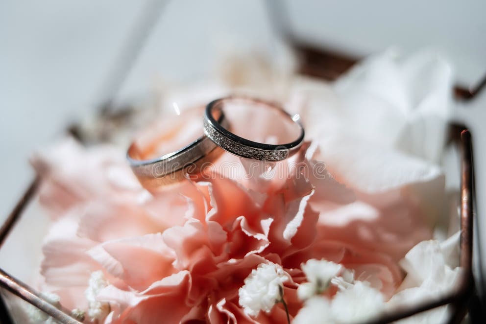 Wedding Rings with a Wedding Decor Stock Image - Image of rings, ring ...