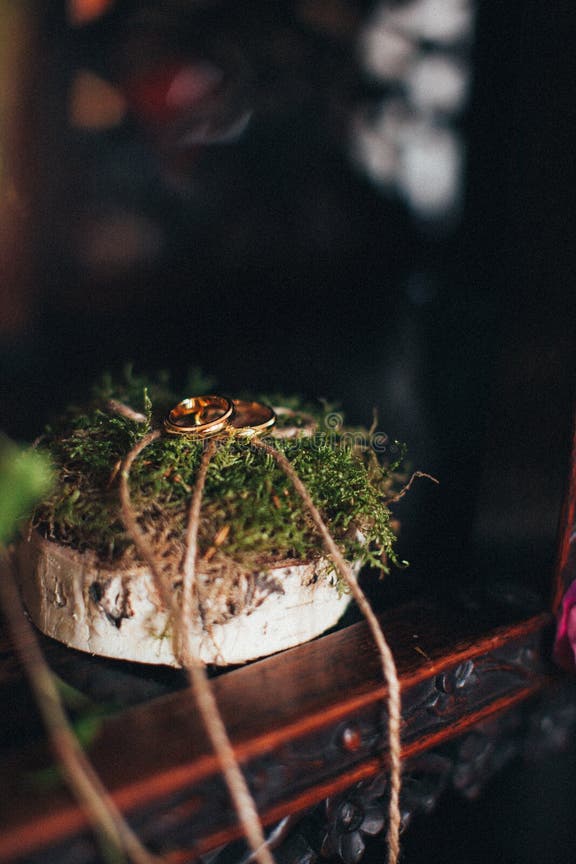 Wedding Rings Decorated in Boho Style Stock Image - Image of ecological ...