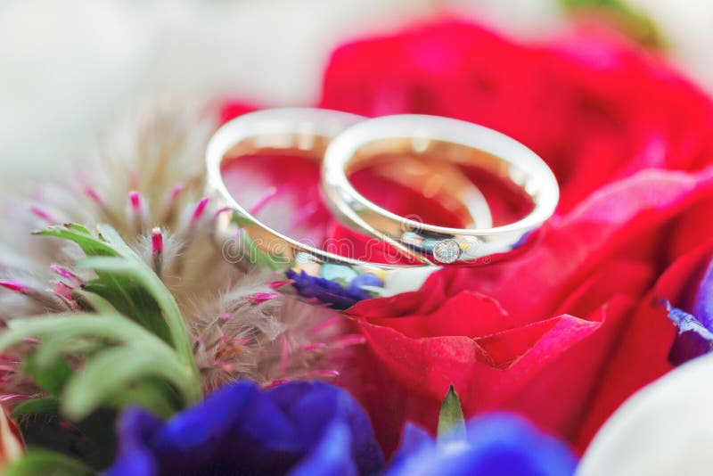 Wedding Rings with Diamonds in Colors Stock Photo - Image of marriage ...