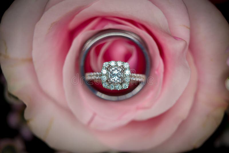 Wedding Rings stock image. Image of love, prosperity - 50625269