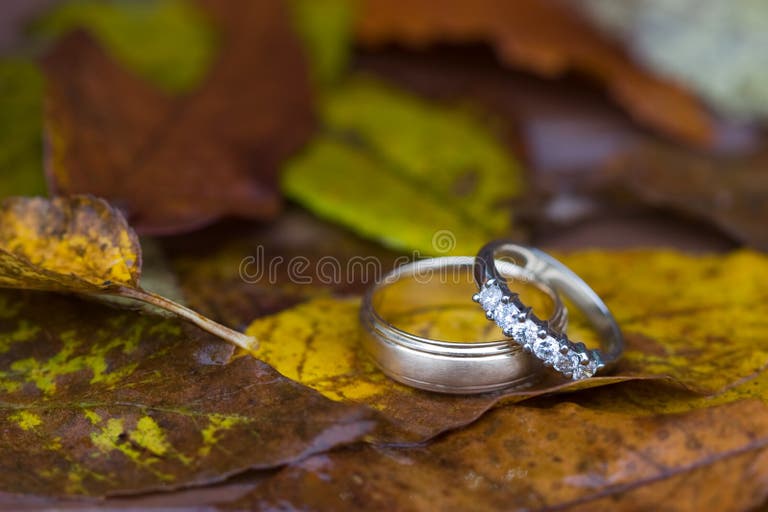 Wedding Rings in the Fall stock image. Image of wedding - 4973357