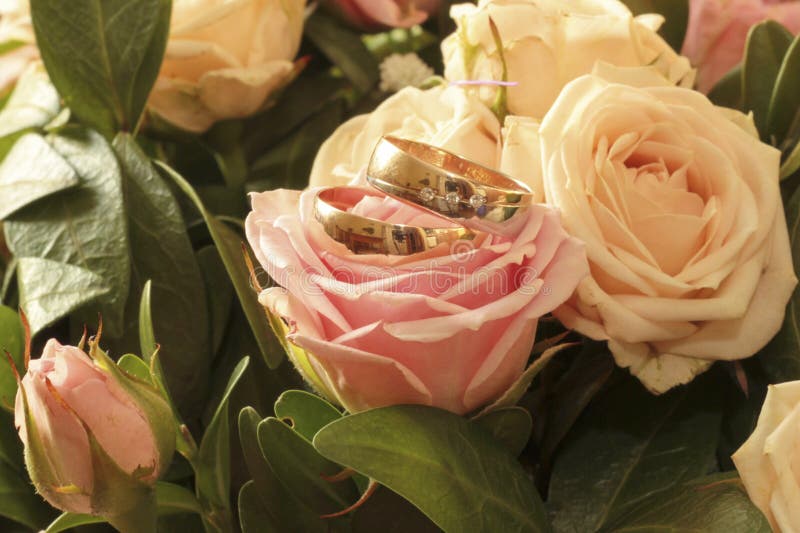 Wedding stock photo. Image of field, jewel, marriage - 329576642