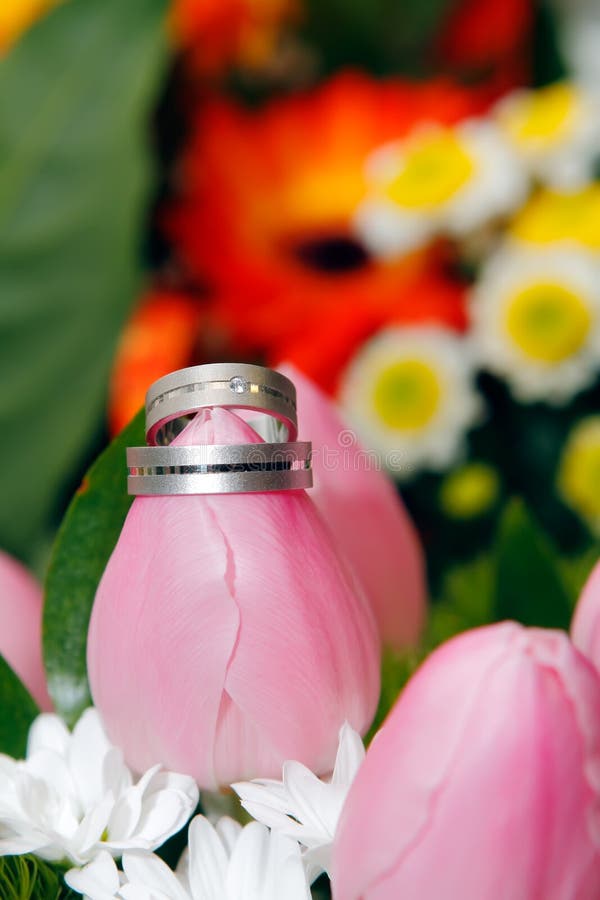 Wedding Rings with flowers stock photo. Image of feminine - 18852076