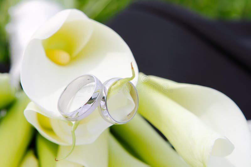 Wedding rings with flowers stock image. Image of love - 19403073