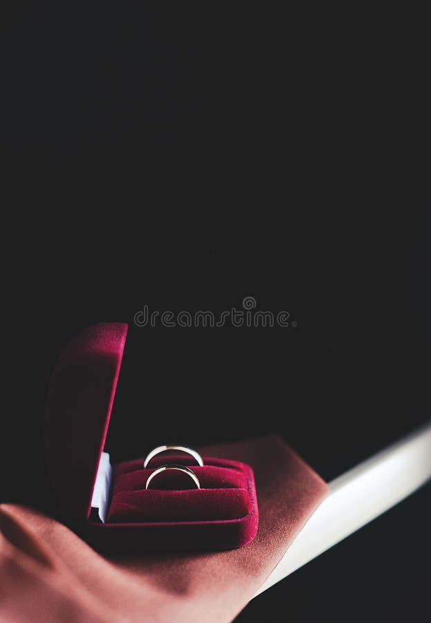 Cover Rings Provided in the Reinforcement of Column Stock Photo - Image ...