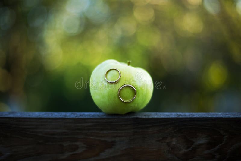 Wedding Rings in a Green Apple Stock Photo - Image of background, life ...