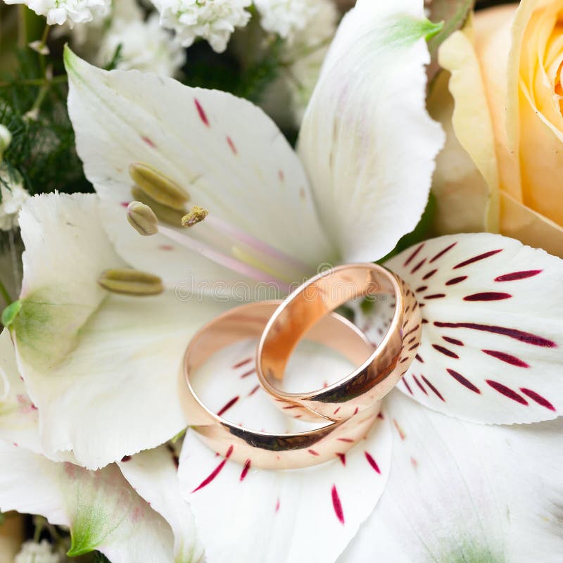 Bunch of flowers in a vase stock photo. Image of bouquet - 18869526