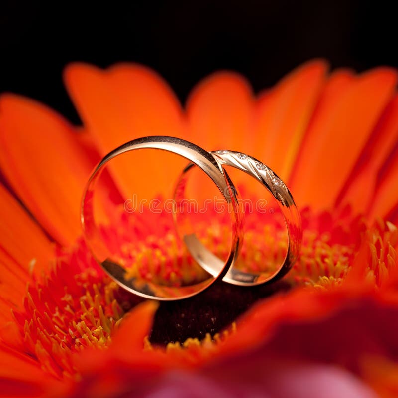 Bunch of Flowers a Green Grass Stock Photo - Image of blossom, holidays ...