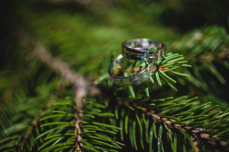 Wedding Rings Hanging on a Green Tree Stock Image - Image of macro ...