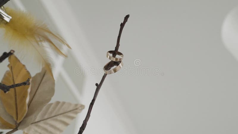 Wedding Rings Hanging on a Tree Branch Stock Video - Video of flower ...