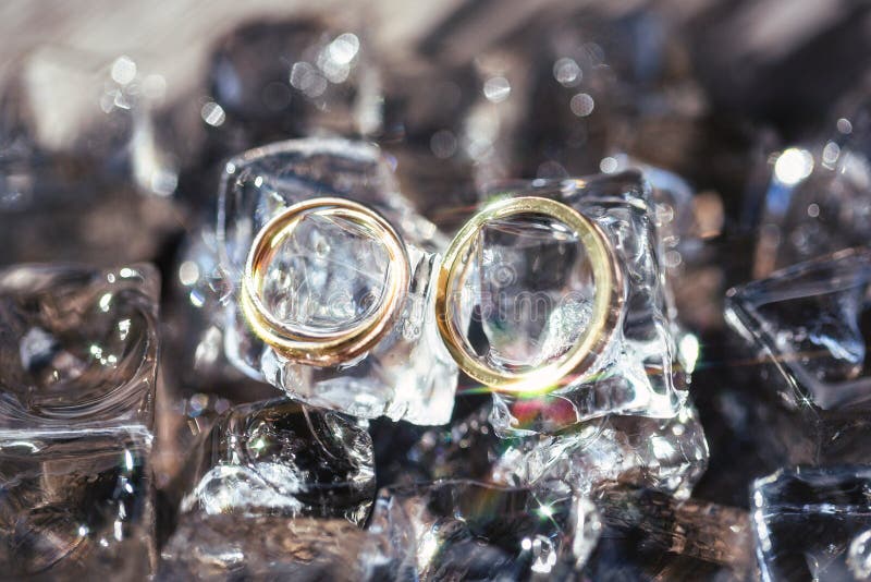 Wedding rings in ice cubes stock image. Image of celebration - 63325825