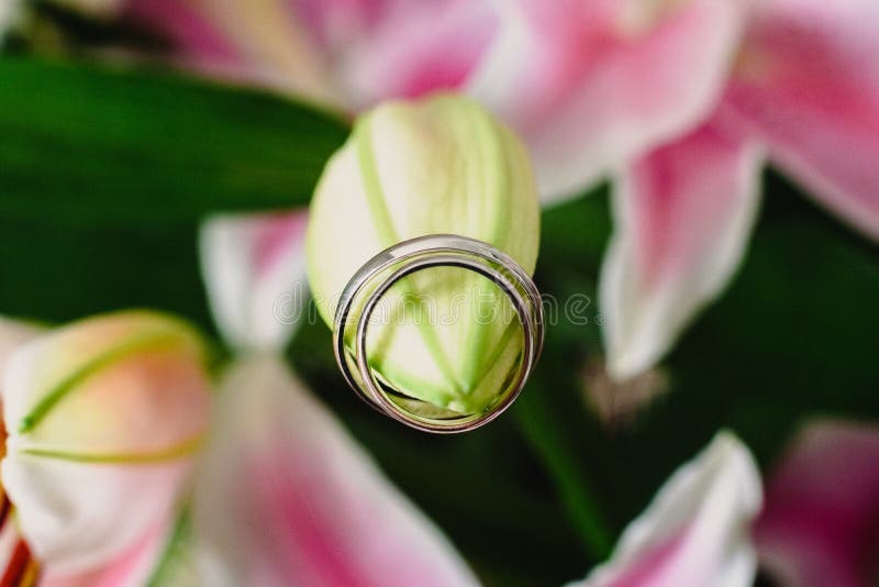 Wedding Rings Inside Flowers Stock Photo - Image of jewelry, engagement ...