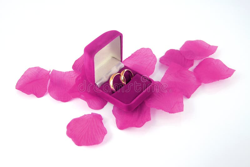 Wedding Rings Inside a Pink Box Stock Photo - Image of wife, rings ...