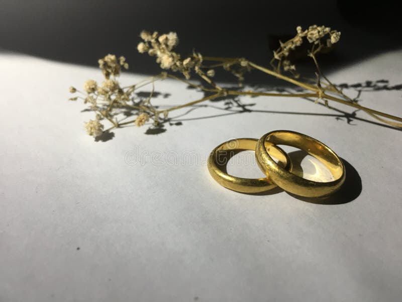 Wedding Rings stock photo. Image of rings, people, wedding - 250190668