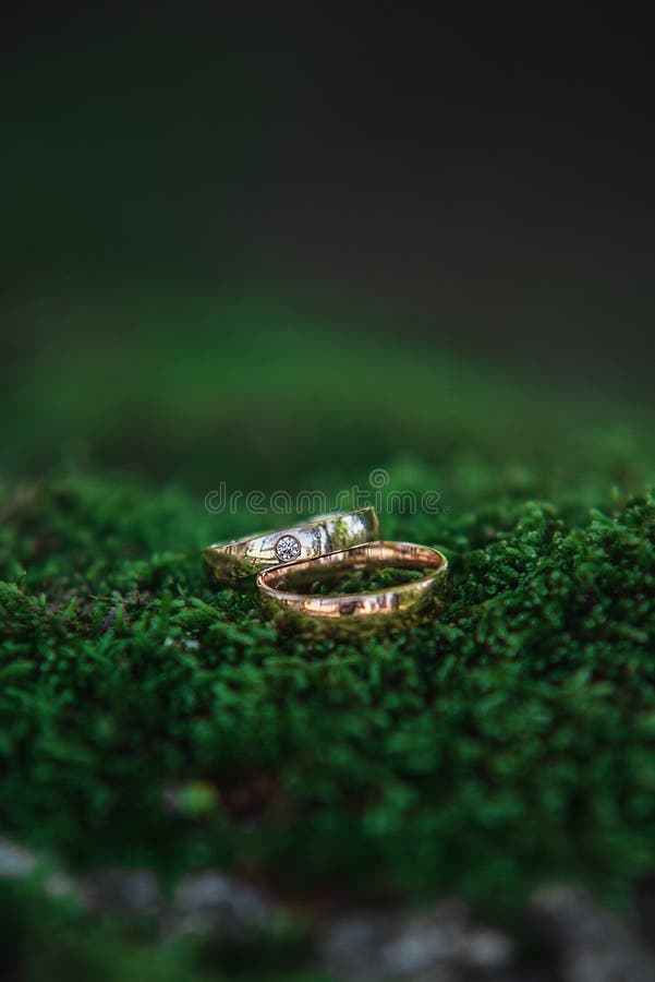 Wedding Rings on Moss. Engagement, Love. Stock Image - Image of gold ...