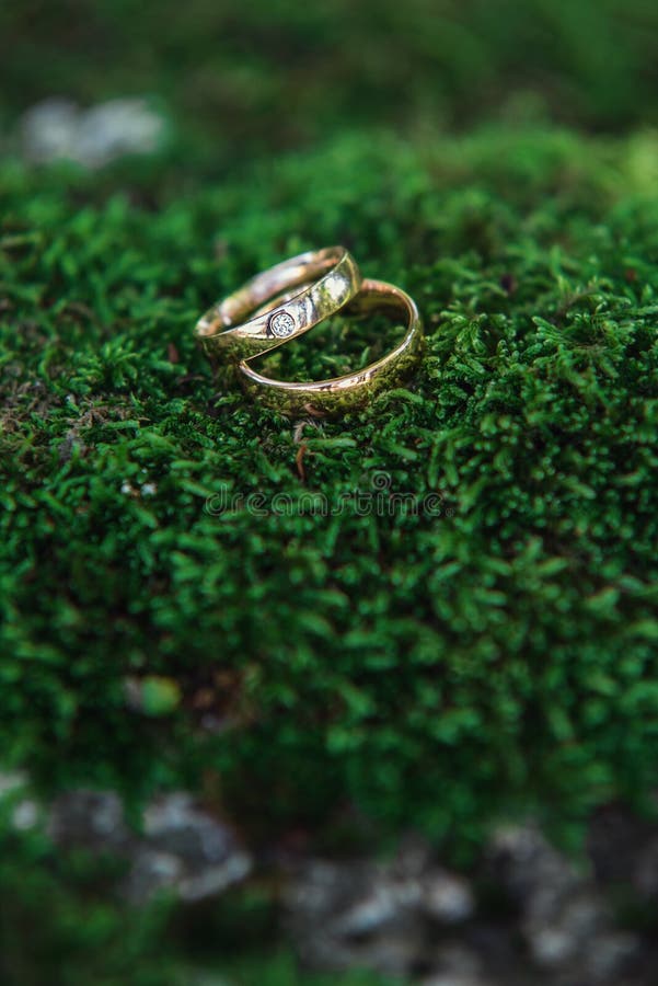 Wedding Rings on Moss. Engagement, Love. Stock Photo - Image of ...
