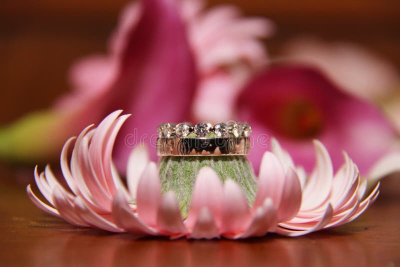 Wedding Rings on Pink Flower Stock Image - Image of symbol, pink: 18857541