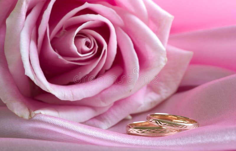 Wedding Rings on Pink with Rose Stock Image - Image of still, holiday ...