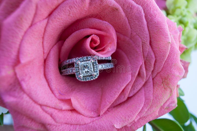 Wedding Rings in a Pink Rose Stock Photo - Image of stacked, flower ...