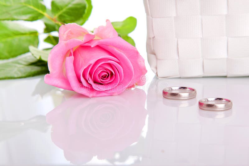 Wedding Rings and Pink Roses Stock Photo - Image of postcard, rings ...