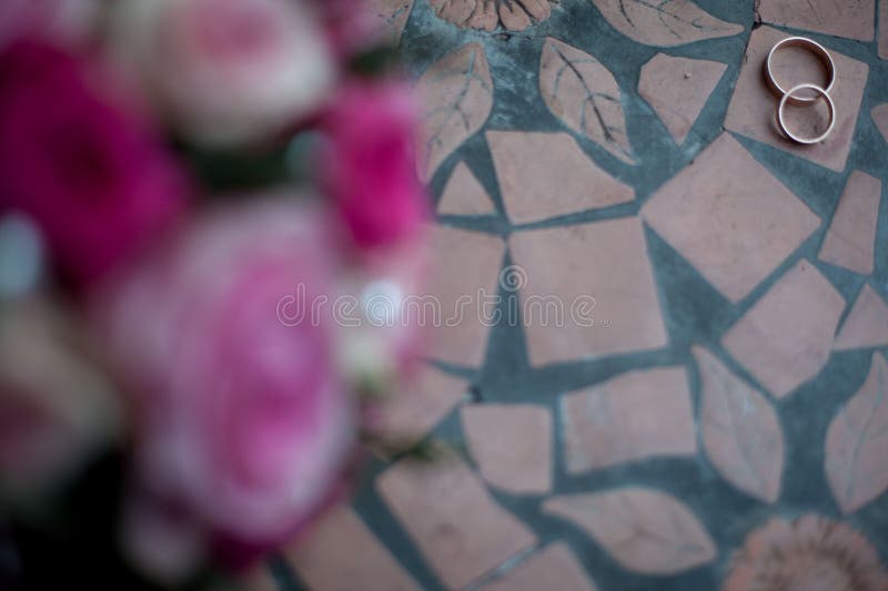 Wedding Rings. a Place for the Inscription. Layout Stock Image - Image ...