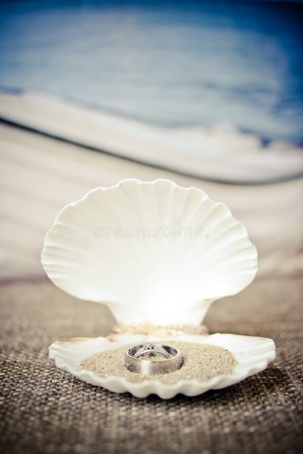 Wedding rings stock photo. Image of shell, wedding, pretty - 45707268