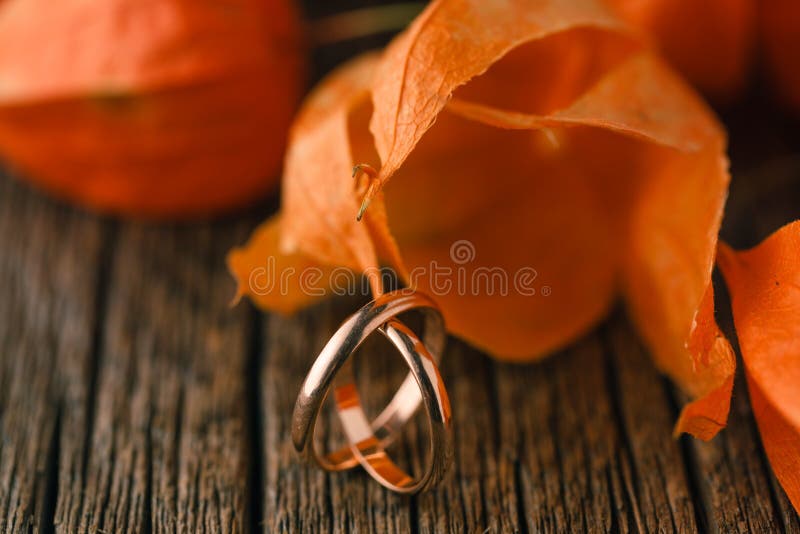 Wedding Rings on Fall Leaves Stock Photo - Image of rings, bride: 13279072