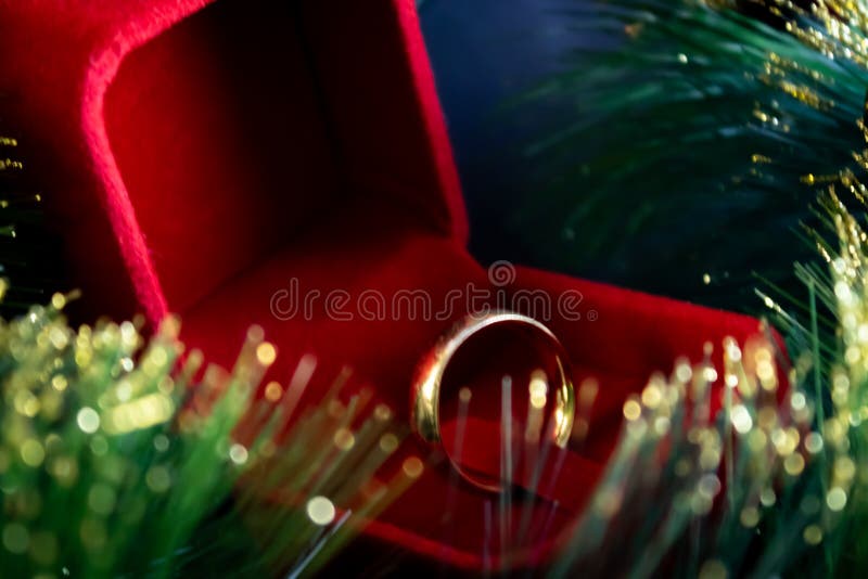 Wedding rings in red box stock photo. Image of light - 262663204