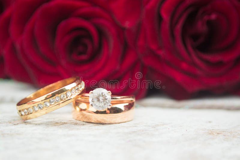 Wedding rings. Red roses stock photo. Image of celebrate - 61693922