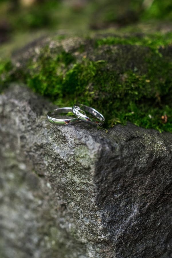 Wedding rings on the rocks stock image. Image of gift - 50570167