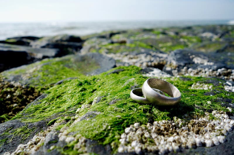 Wedding Rings on Rocks and Shells at the North Sea Coast Outdoors with ...