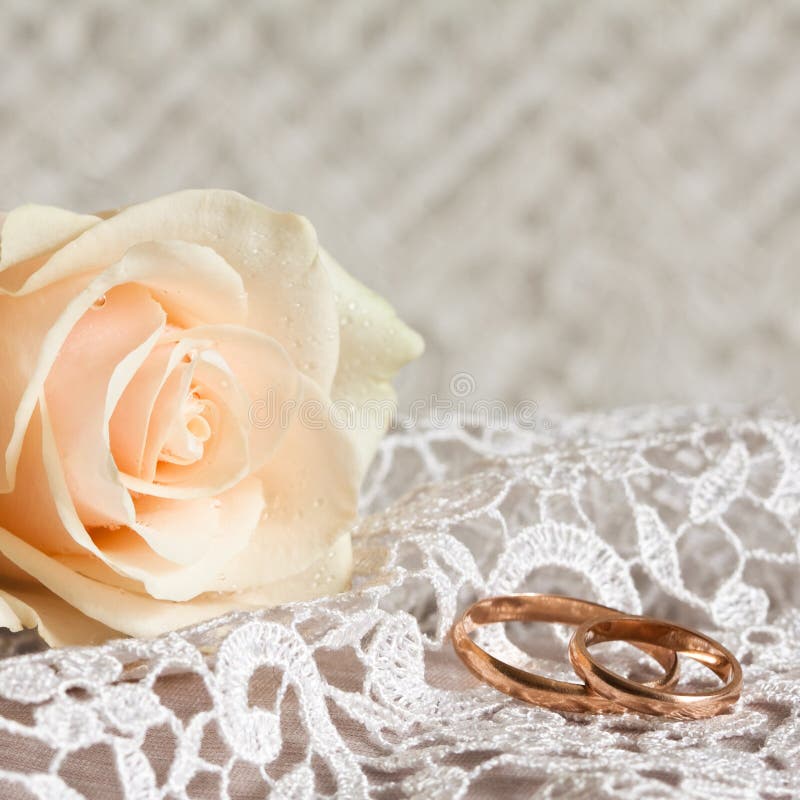 Wedding rings and rose. stock photo. Image of elegance - 15868872