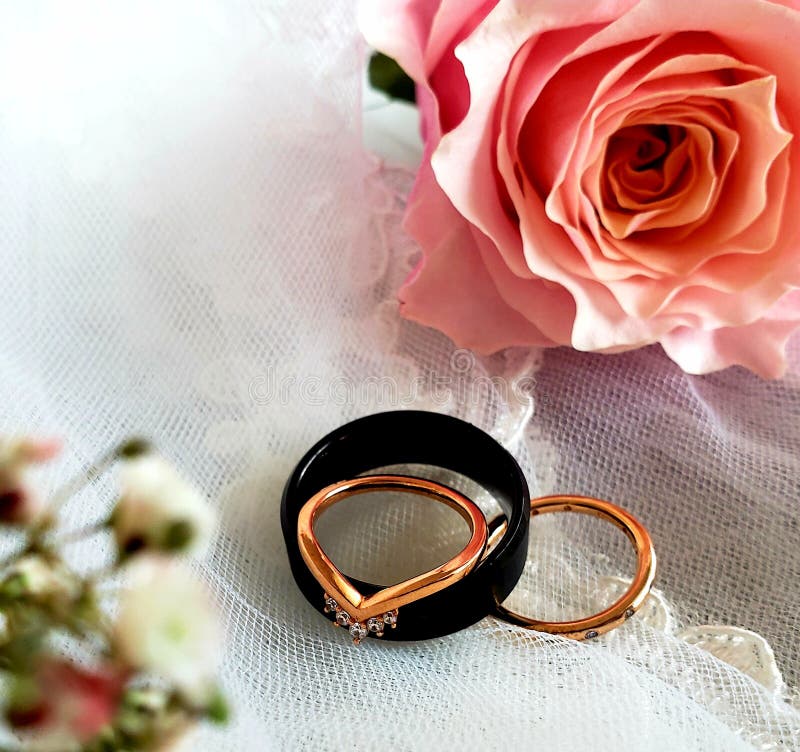 Wedding rings with rose stock image. Image of rings - 202046223