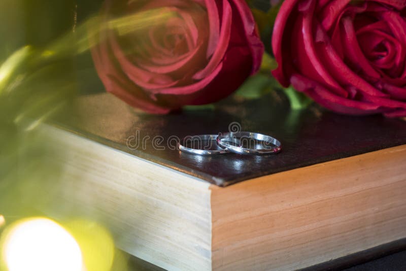 Wedding Rings and Rose on Book with Bokeh Lights in Foreground Stock ...