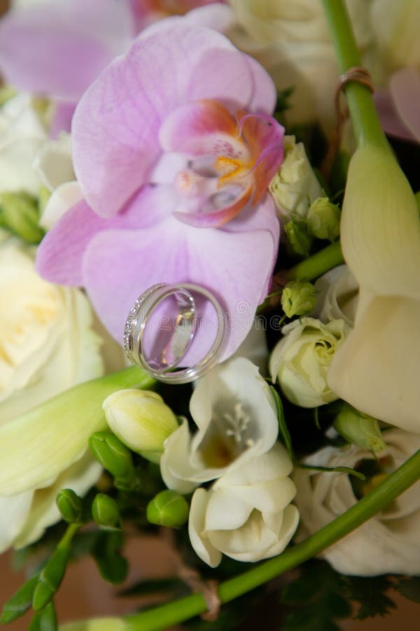 Wedding Rings with Rose Flowers for Bride and Groom Stock Photo - Image ...