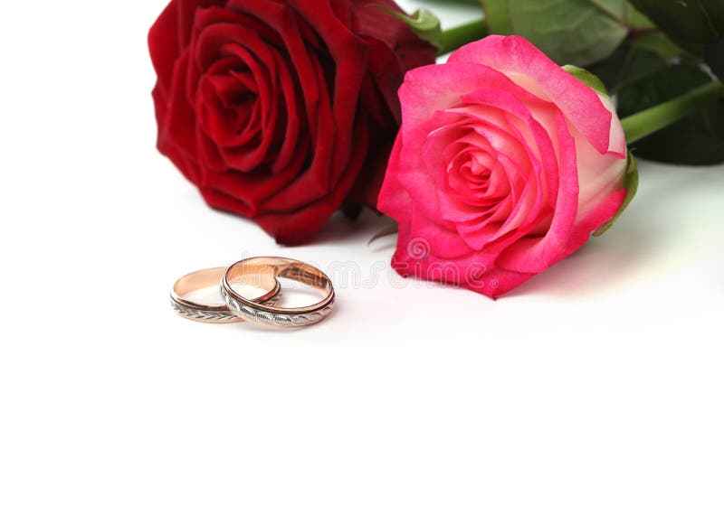 Wedding rings and roses stock photo. Image of feeling - 12775092