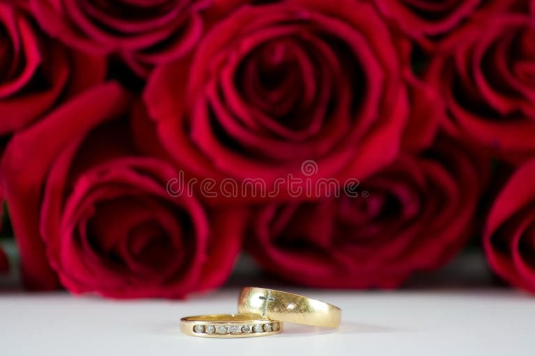 Wedding rings and roses. stock photo. Image of feelings - 13165222