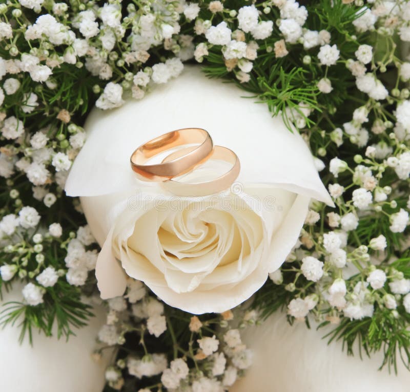 Wedding rings and roses stock image. Image of bridal - 23204141