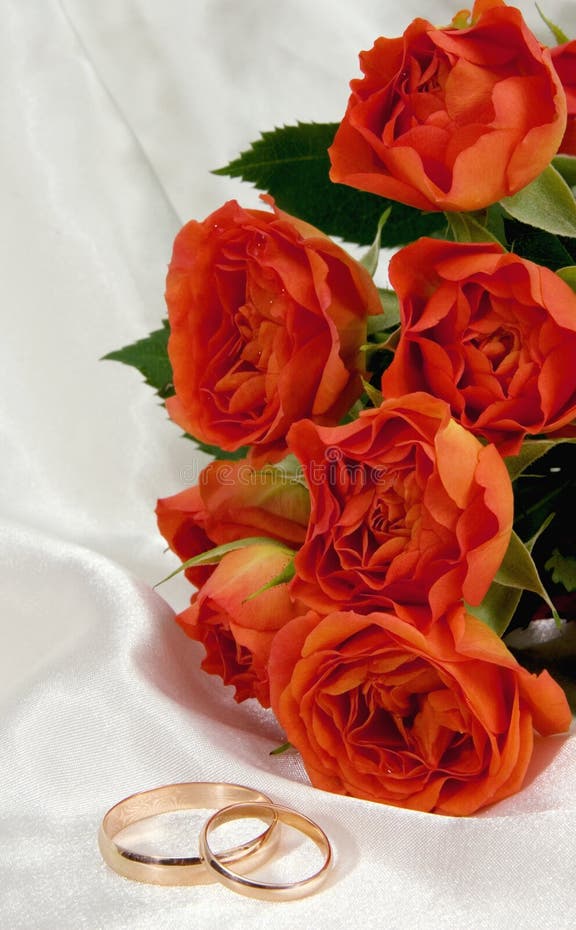 Wedding rings and roses stock photo. Image of holiday - 5198880