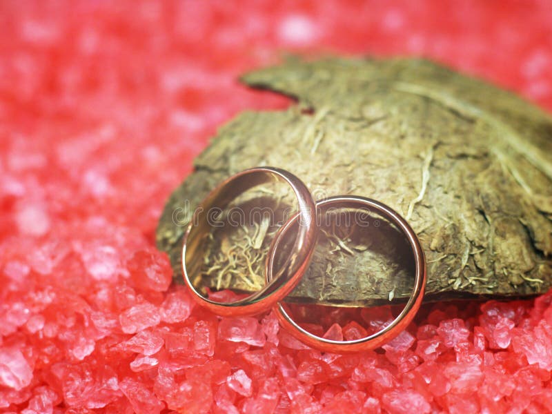 Wedding rings and sea salt stock photo. Image of gift - 183671260
