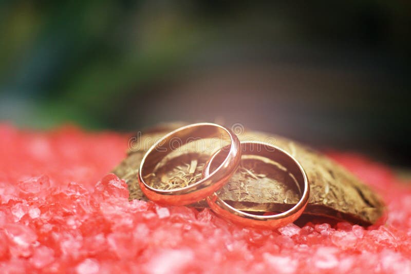 Wedding rings and sea salt stock image. Image of gift - 183671279