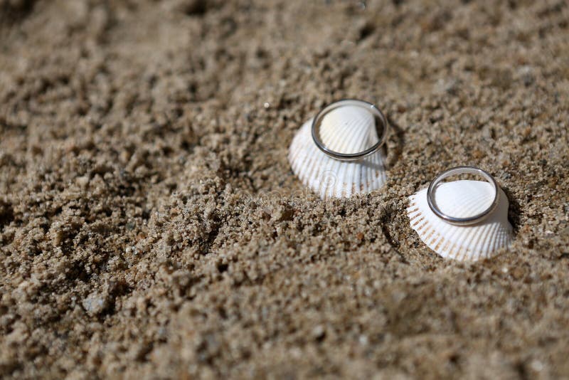 Wedding rings on sea shell stock image. Image of matrimony - 56308135