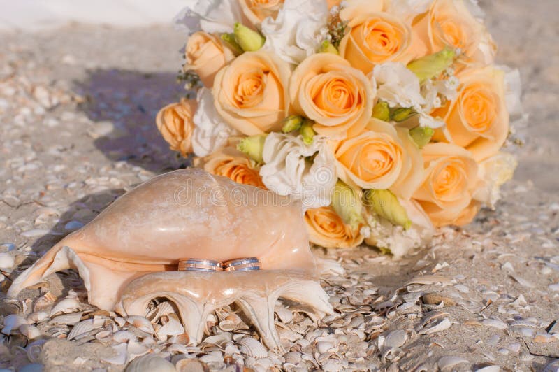 Wedding Rings in a Shell on the Beach Stock Image - Image of ...